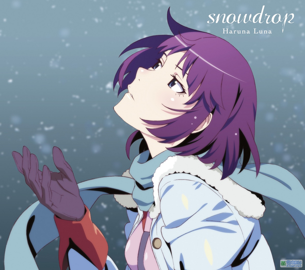 snowdrop - 萌娘百科 万物皆可萌的百科全书